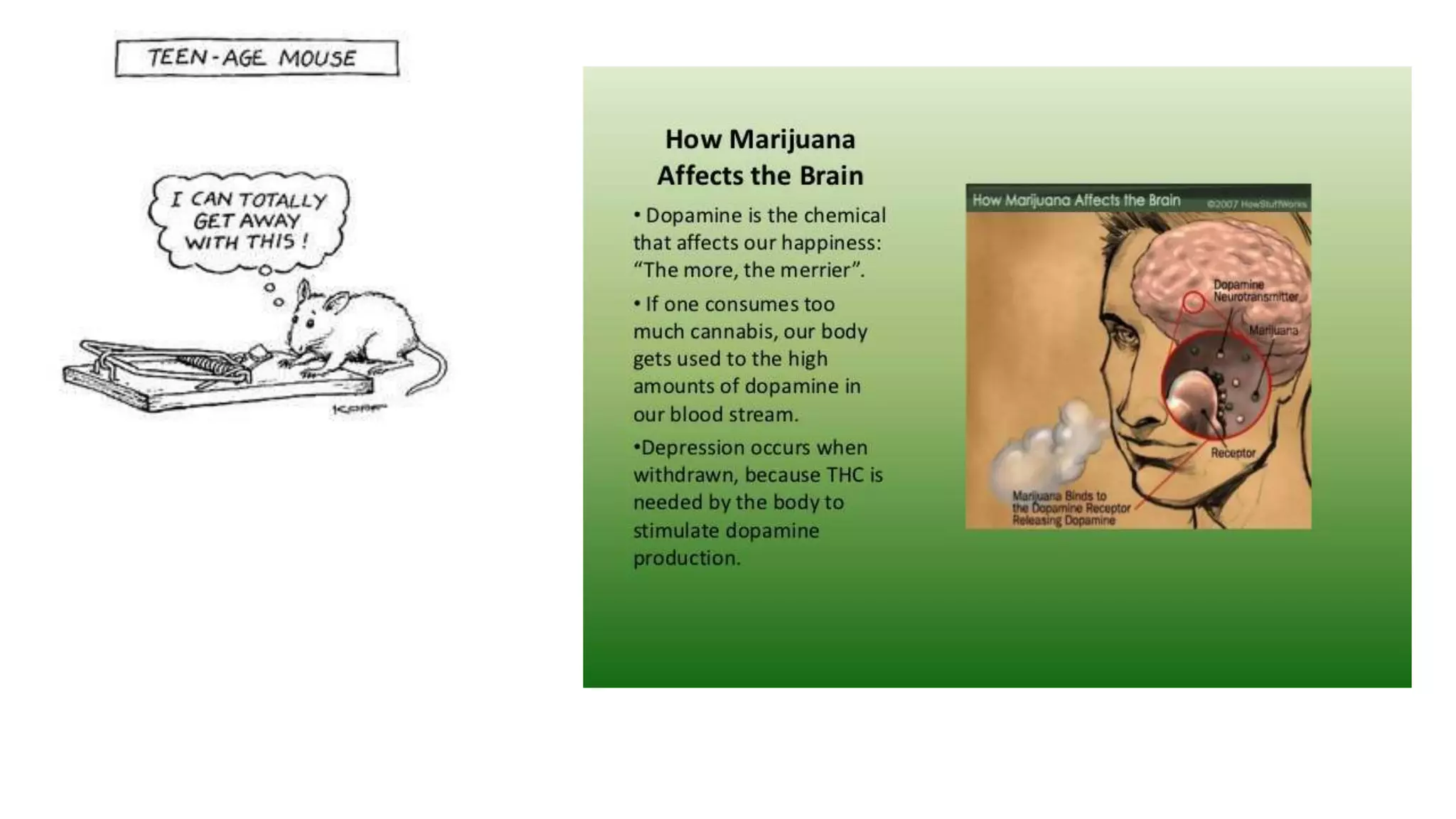 Inside the Teenage brain | PPTX