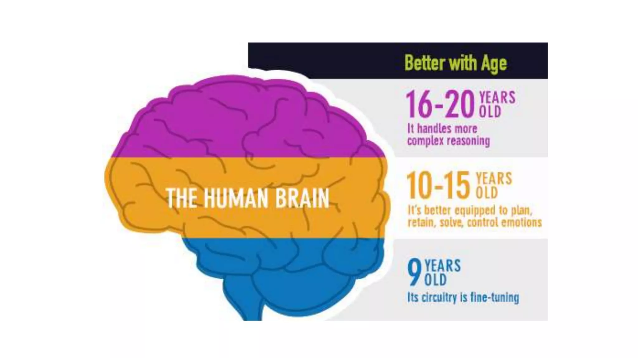 Inside the Teenage brain | PPTX