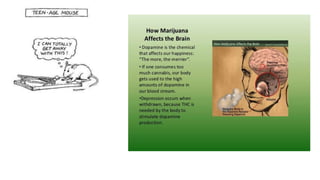 Inside the Teenage brain | PPTX