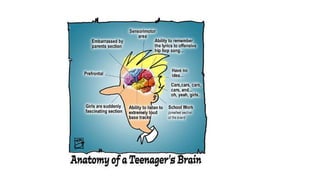 Inside the Teenage brain | PPTX