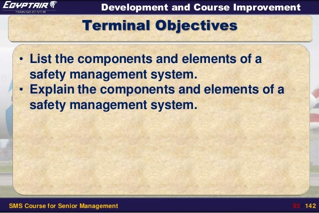 Session no. 4 icao sms framework
