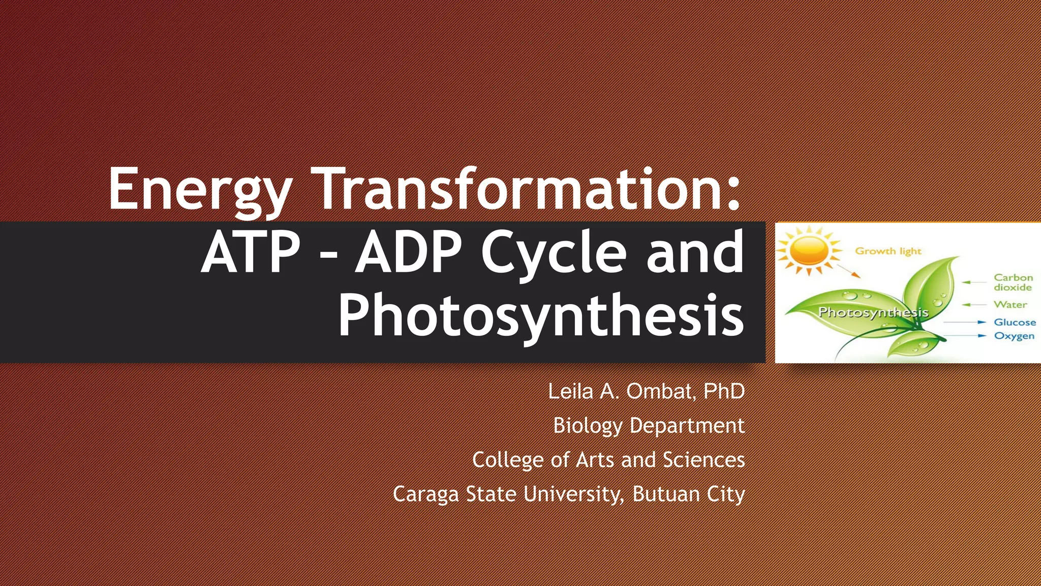 Session no. 3.1. energy transformation atp – adp cycle and ...