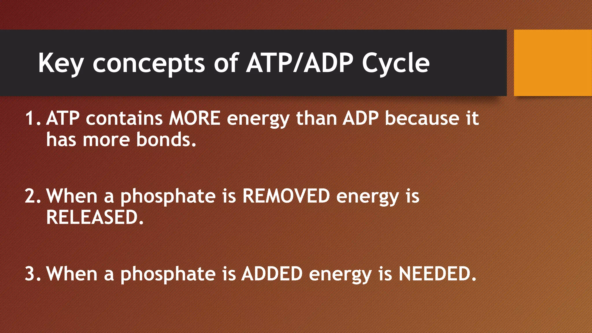 Session no. 3.1. energy transformation atp – adp cycle and ...