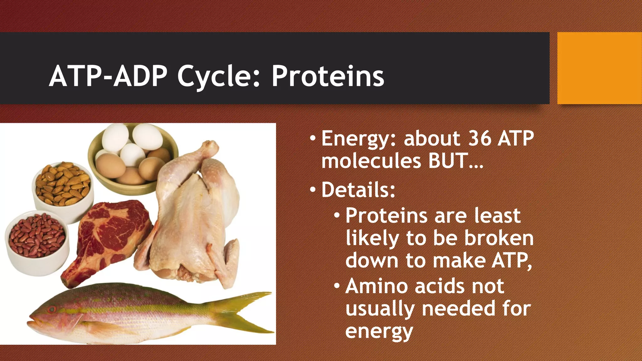 Session no. 3.1. energy transformation atp – adp cycle and ...