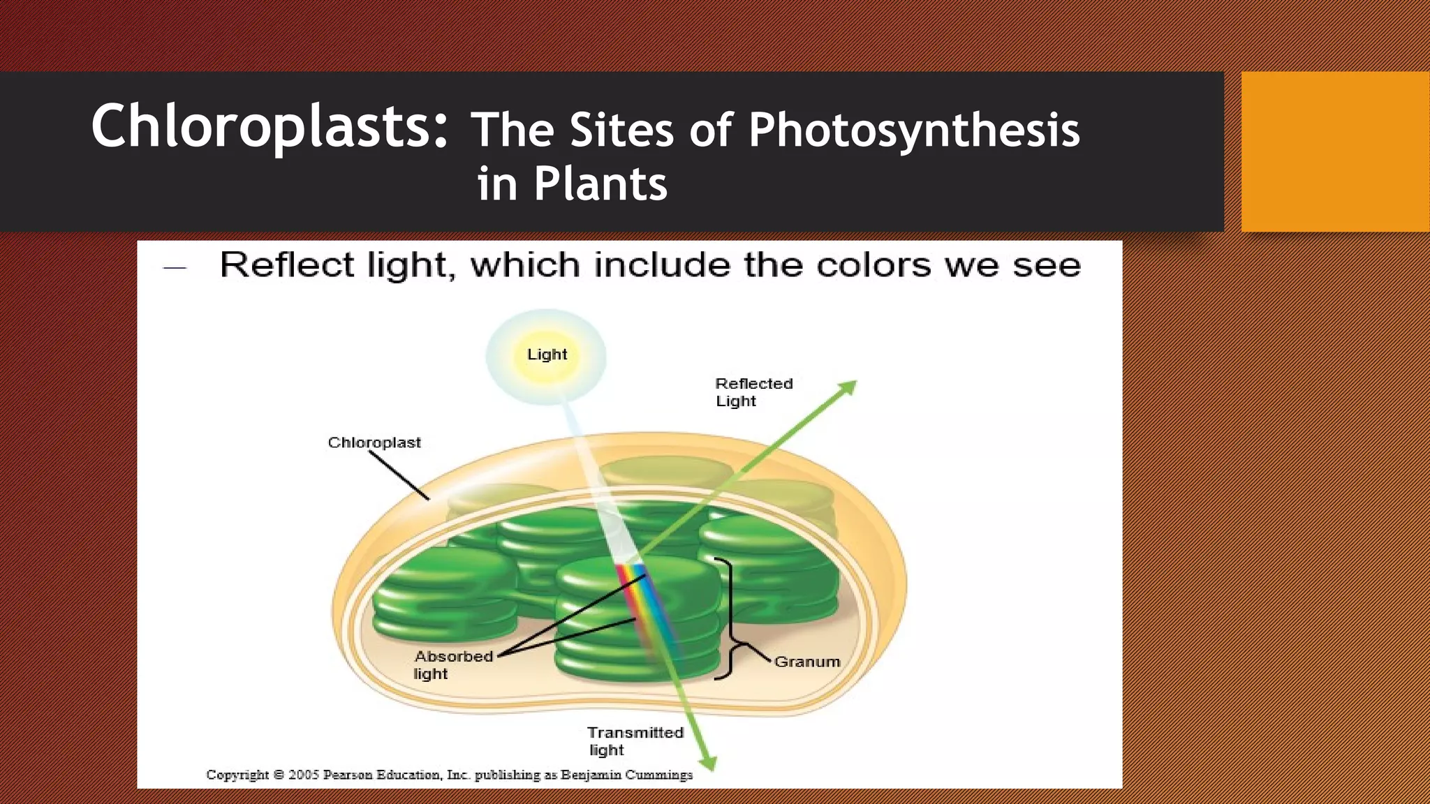 Session no. 3.1. energy transformation atp – adp cycle and ...