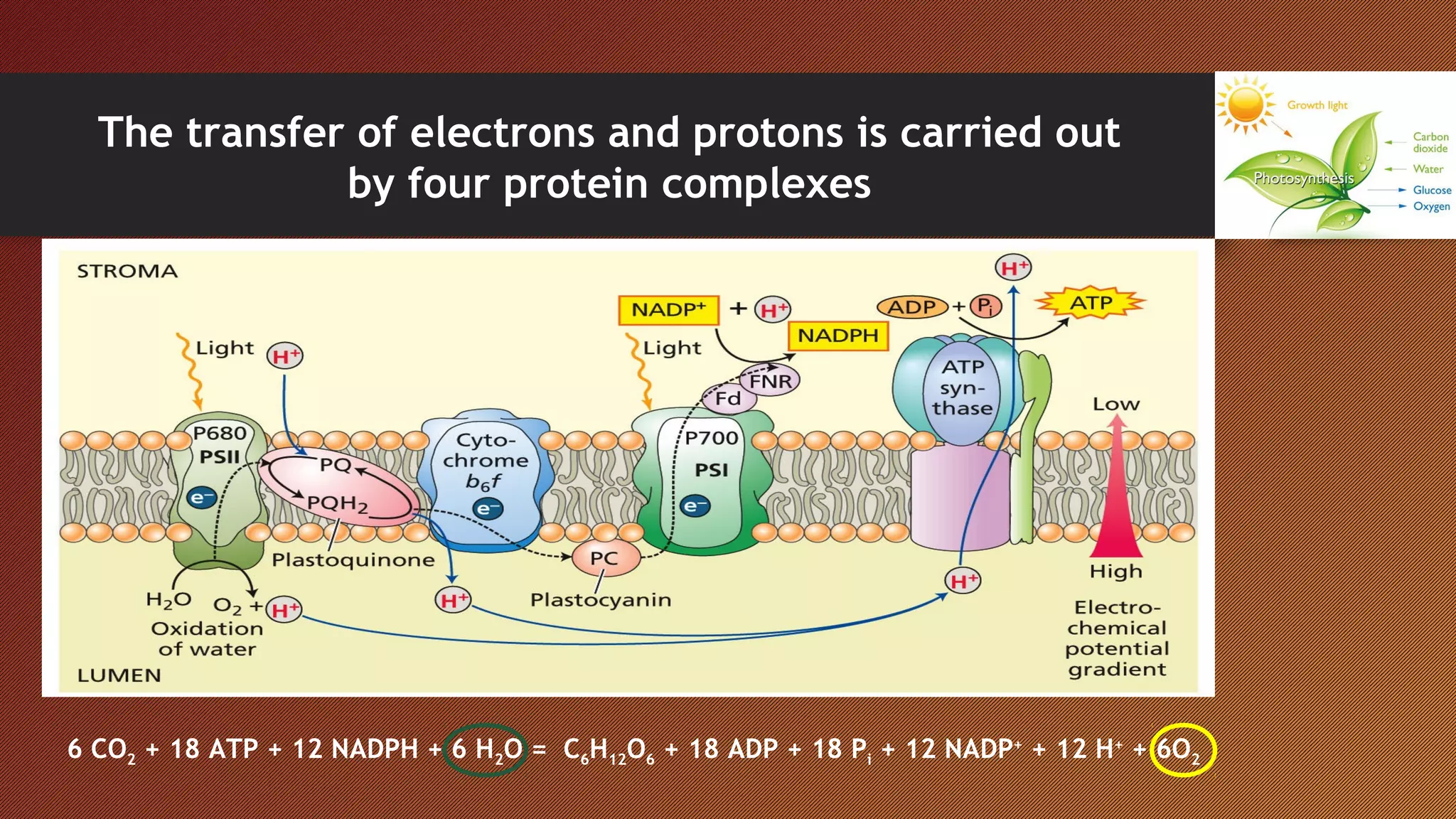 Session no. 3.1. energy transformation atp – adp cycle and ...