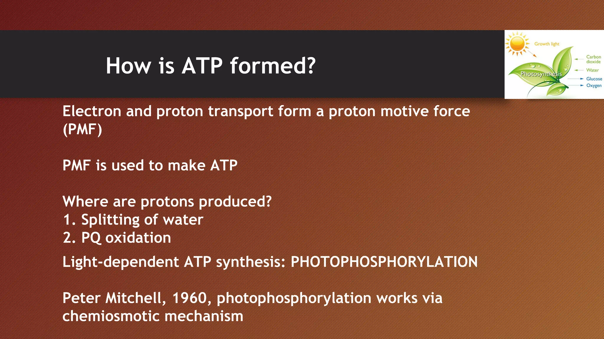 Session no. 3.1. energy transformation atp – adp cycle and ...