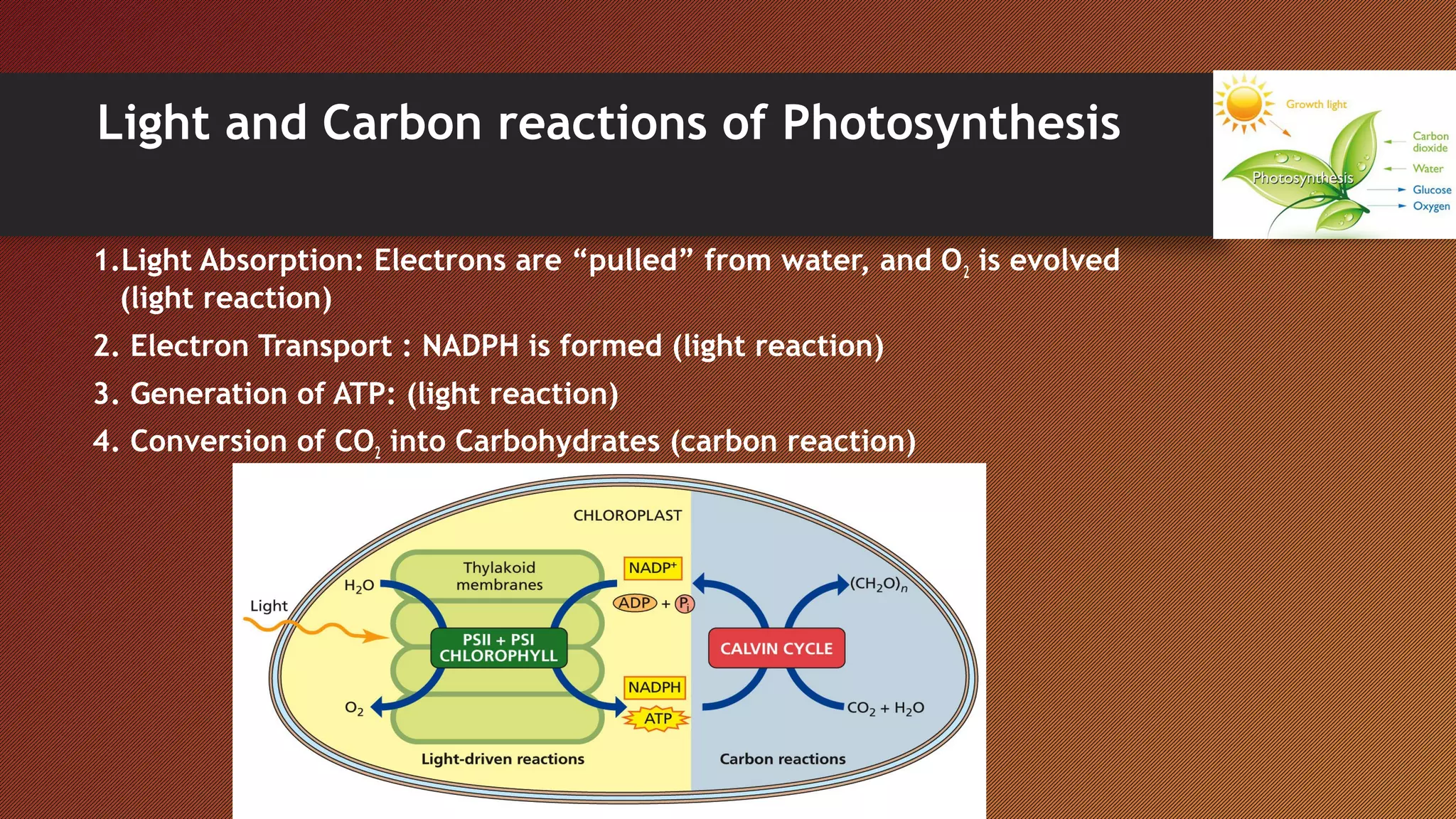 Session no. 3.1. energy transformation atp – adp cycle and ...