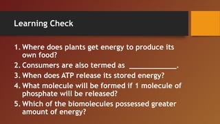 Session no. 3.1. energy transformation atp – adp cycle and ...