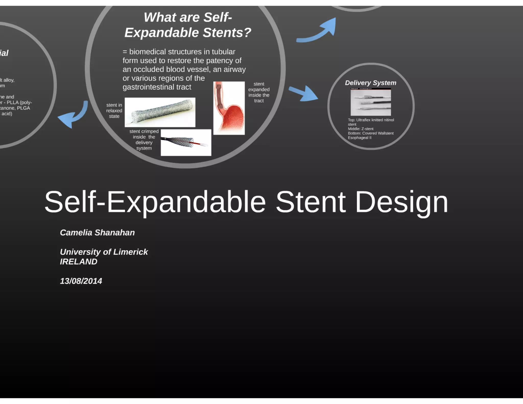 Self Expandable Stent Design | PDF