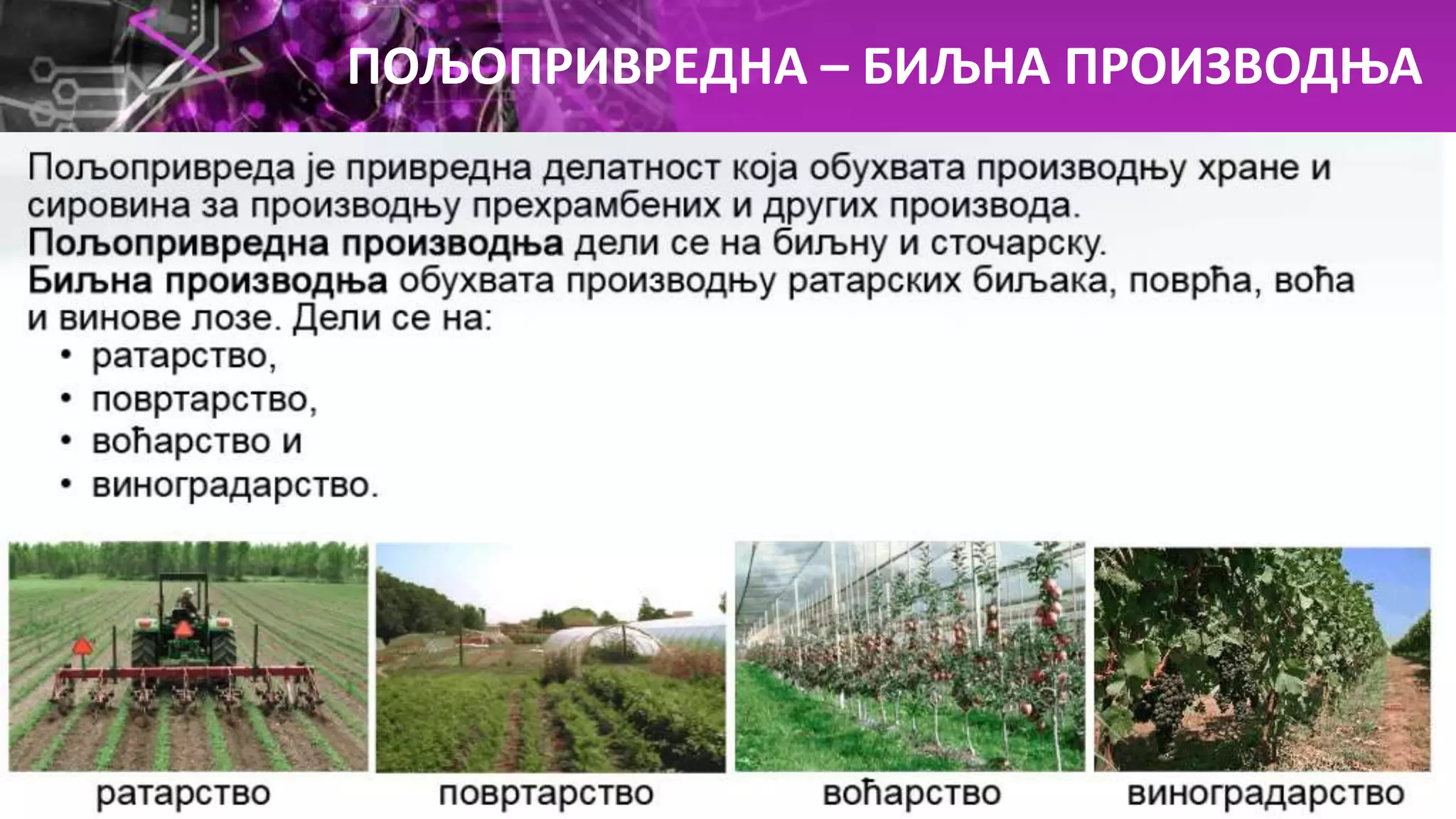 Sesti razred prezentacija 2 | PPT