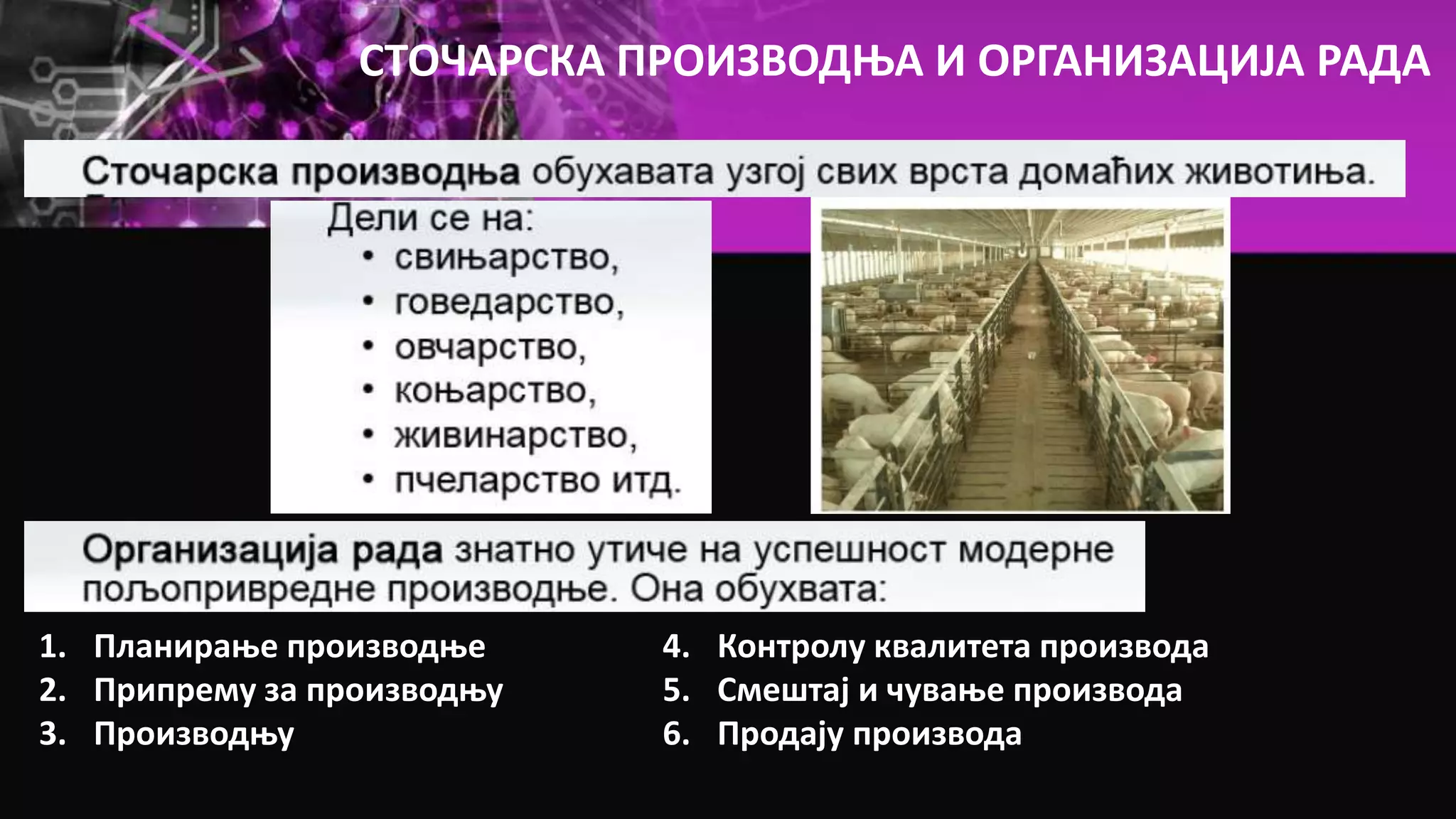 Sesti razred prezentacija 2 | PPT