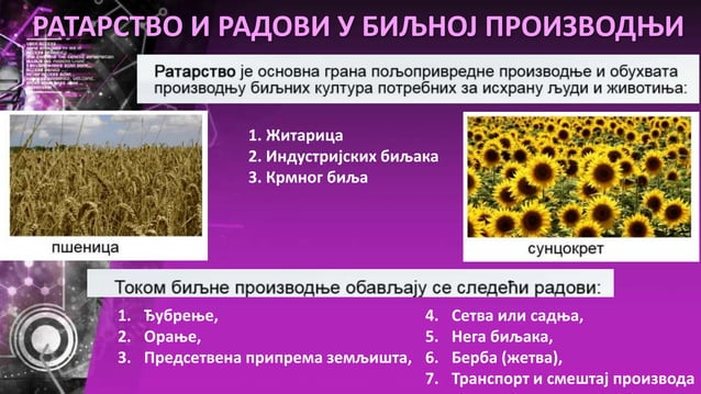 Sesti razred prezentacija 2 | PPT