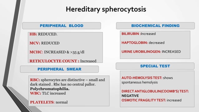 lab work up for hemolytic anemia