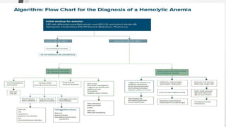 lab work up for hemolytic anemia | PPTX