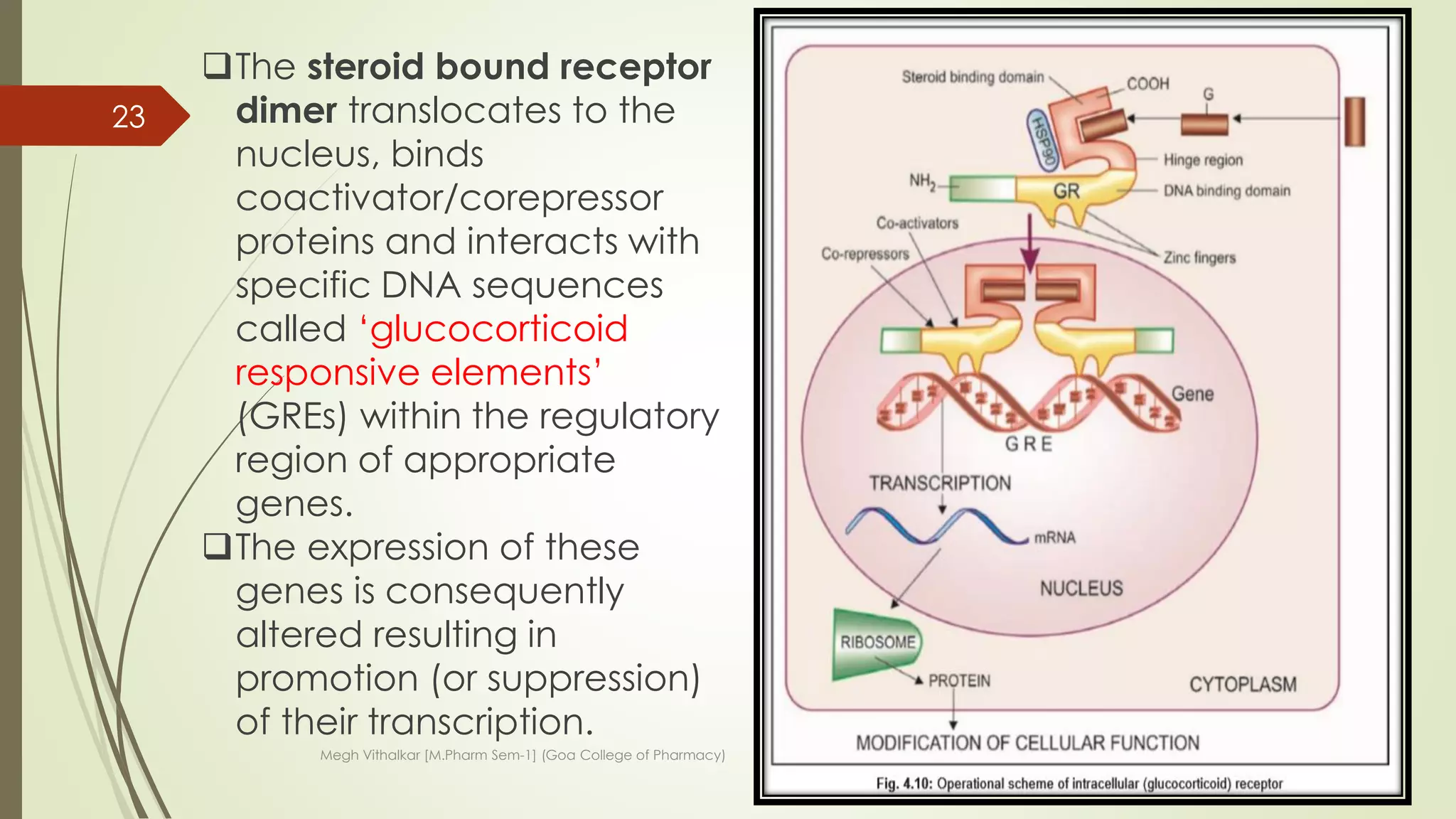 Receptors Regulating Gene Expression (Nuclear Receptors) | PDF