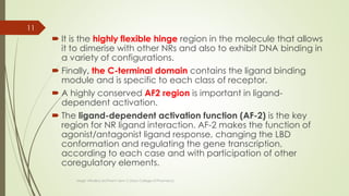 Receptors Regulating Gene Expression (Nuclear Receptors) | PDF