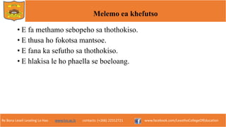 Setaele sa thothokiso | PPTX