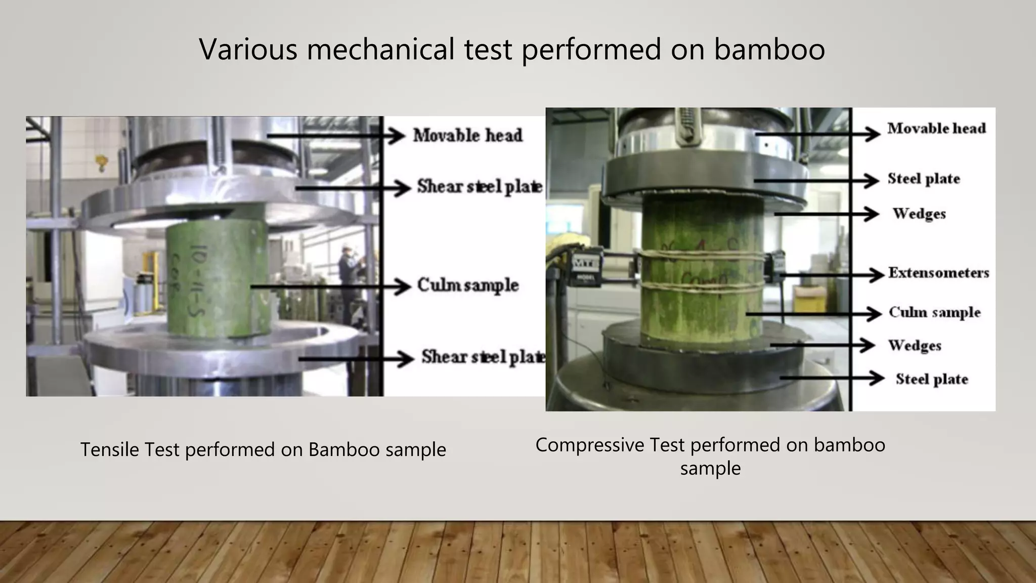 Bamboo and Its applications. | PPT
