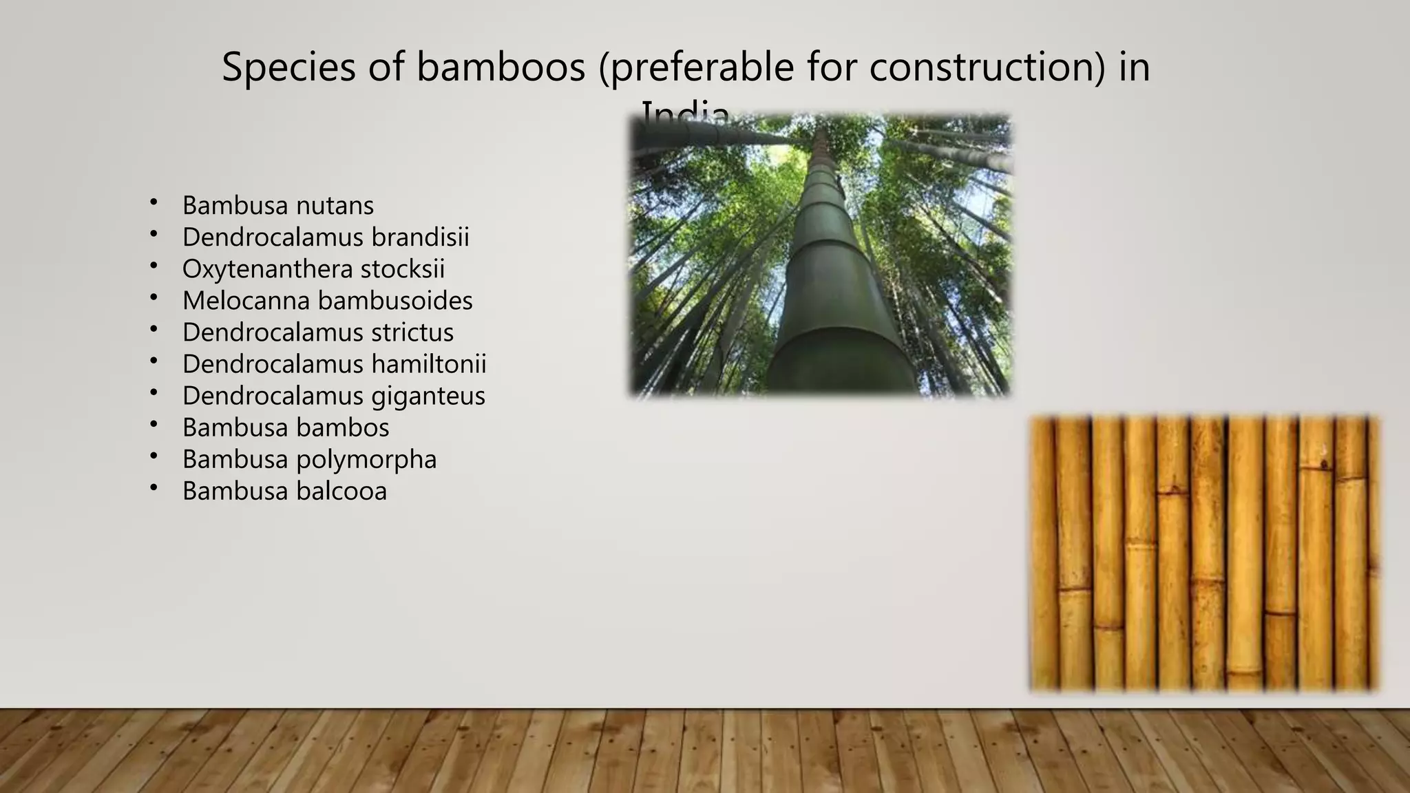 Bamboo and Its applications. | PPT