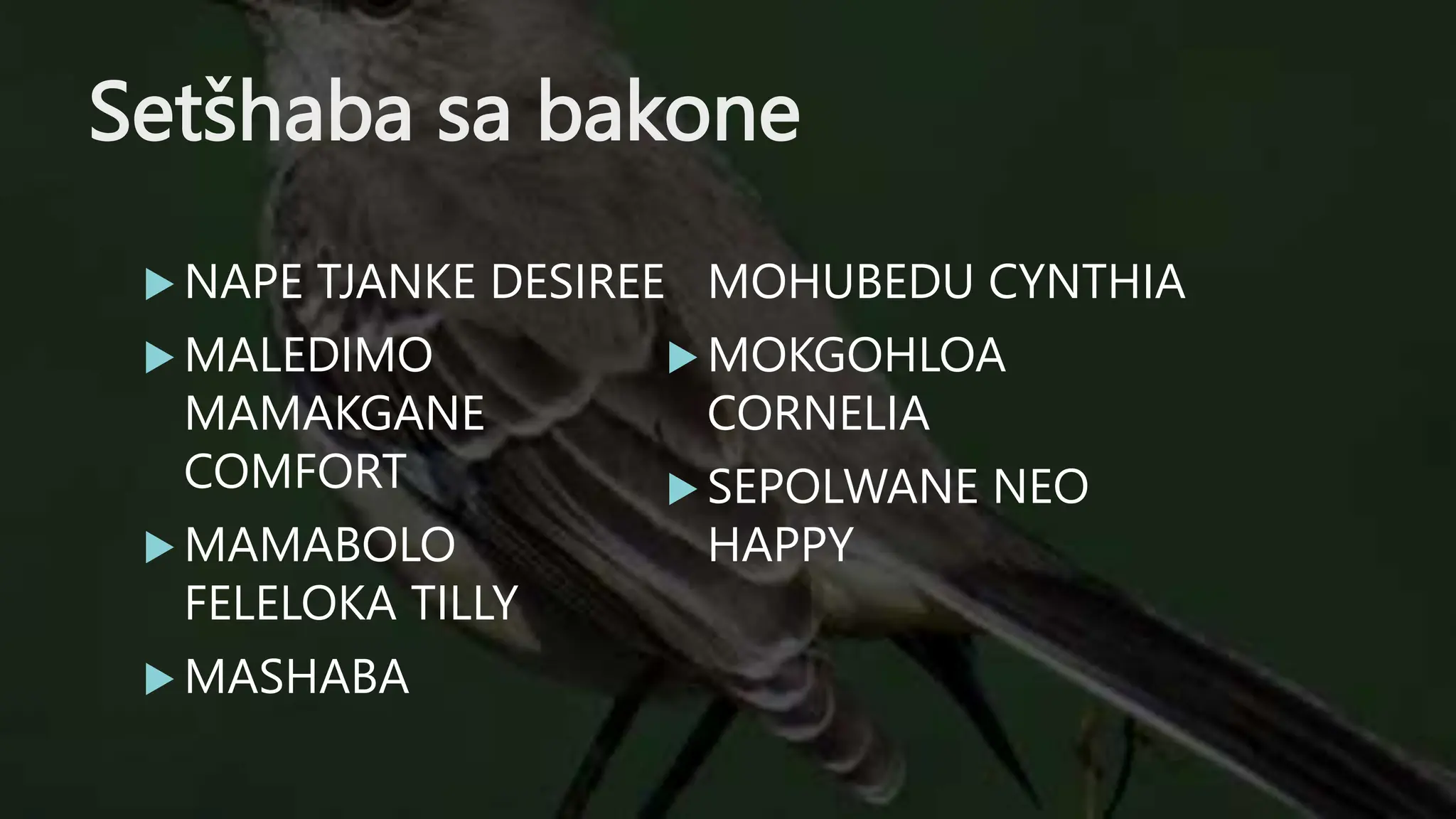 SETŠHABA SA BAKONE AFT 121.pptx