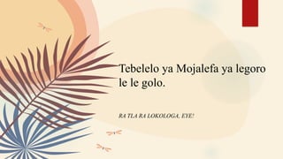 Sehlopha sa Bathokwa. presentation.pptx