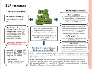 blf short presentation | PPT