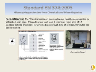 Glove CE Marking | Seth Safety Products. | PPTX