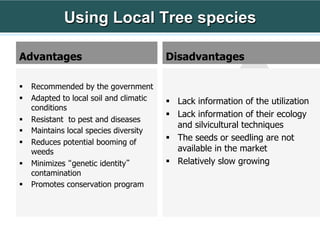 Restoring Degraded Mine Land Using Native Species | PDF
