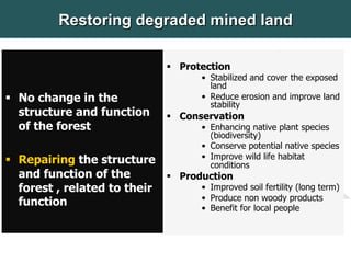 Restoring Degraded Mine Land Using Native Species | PDF