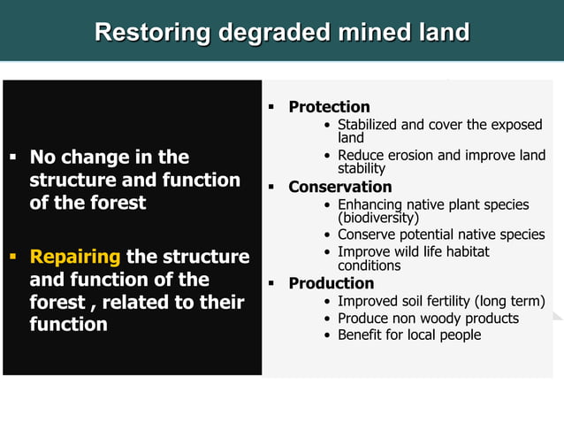 Restoring Degraded Mine Land Using Native Species | PPT