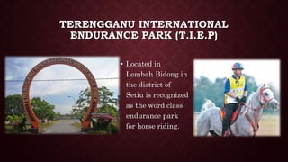 Hospitality and Tourism (SETIU,TERENGGANU) | PPT