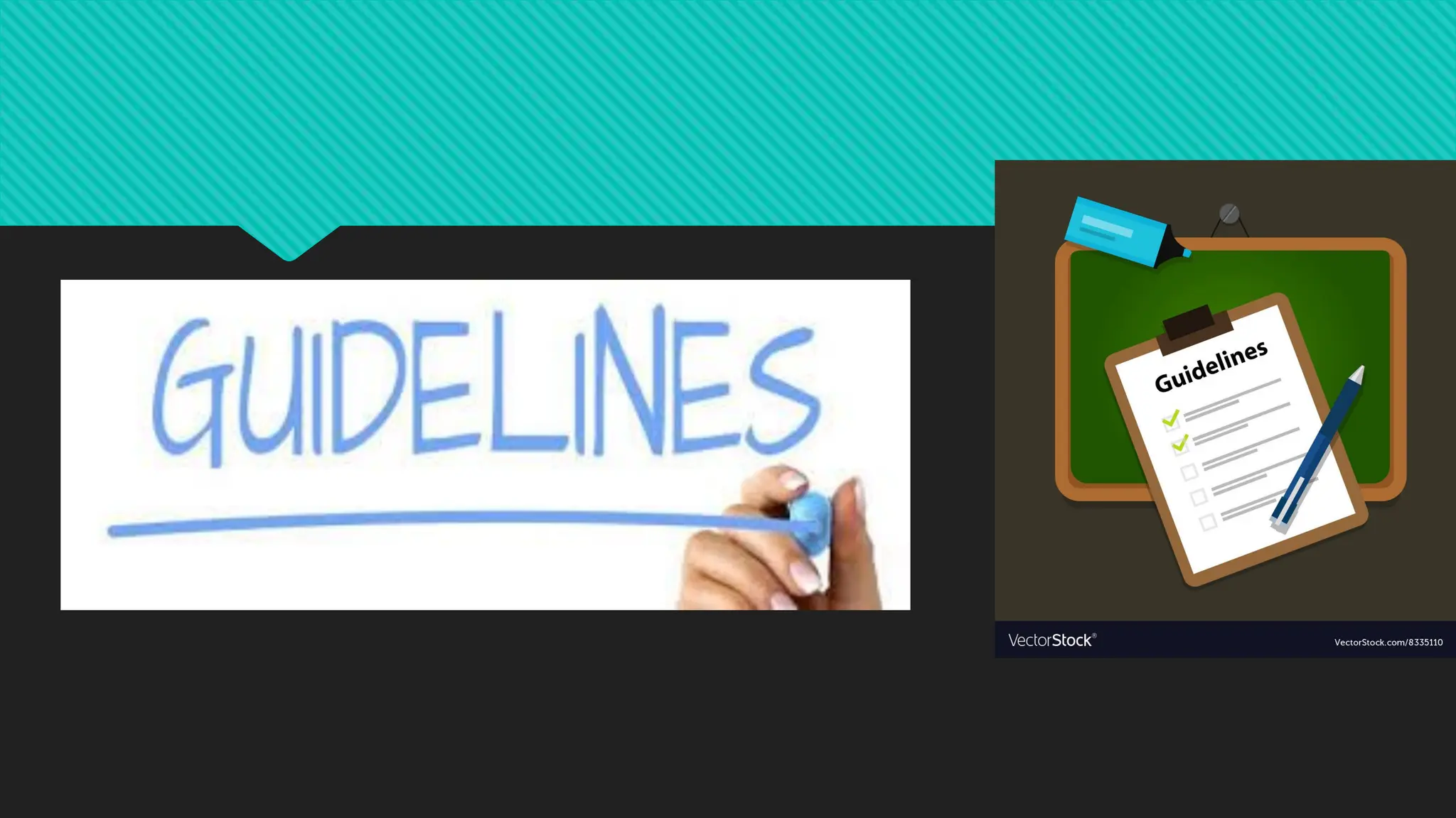 Set of Guidelines - text type - literature | PDF