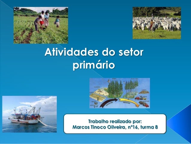 Setor primário marcos