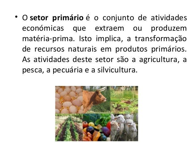 Setor primário em portugal