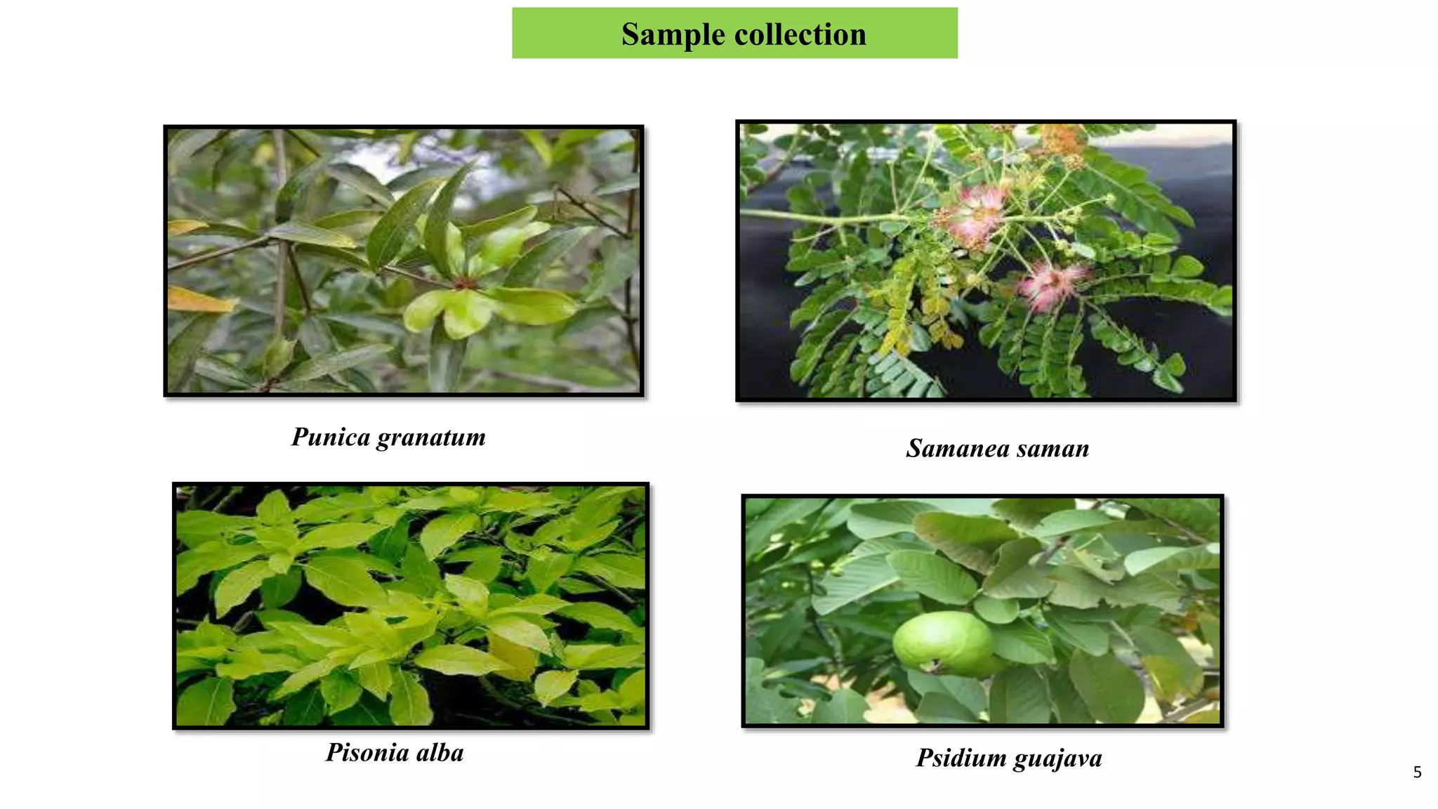 In-vitro Antioxidant, anticariogenic and haemolytic activity of ...