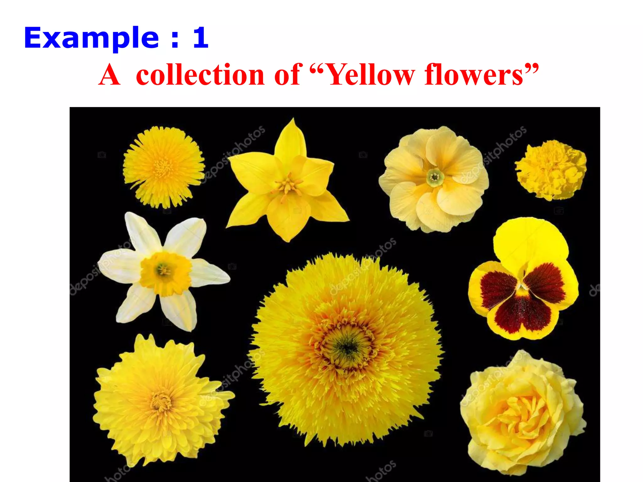 Sets introduction | PPT