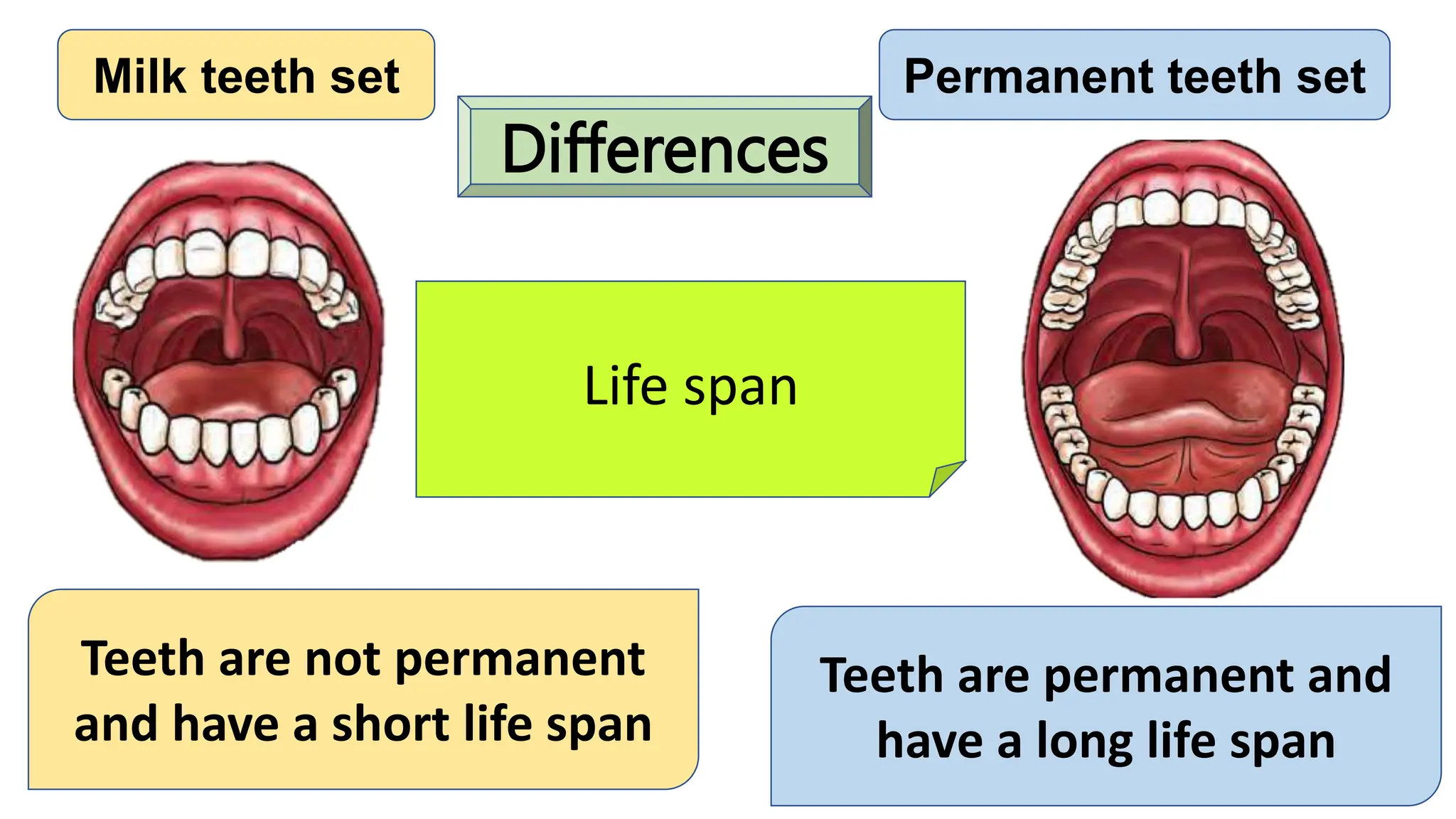 Set Teeth.pptx