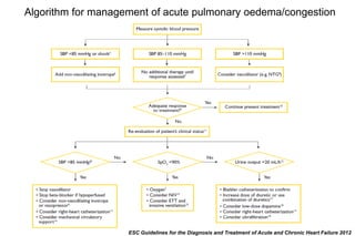 Setting the stage review of the esc acute heart failure guidelines | PPT