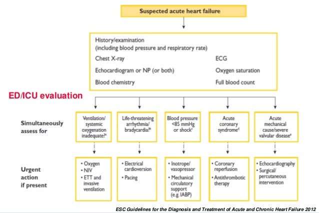 Setting the stage review of the esc acute heart failure guidelines