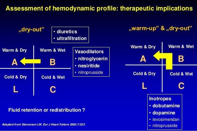 Setting the stage review of the esc acute heart failure guidelines
