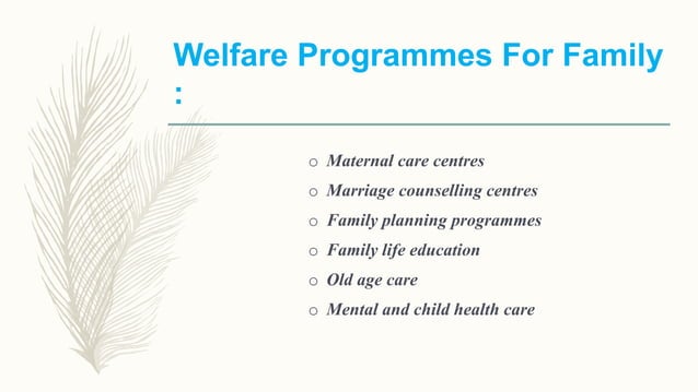 Settings of social case work | PPTX | Parenting | Family and Relationships