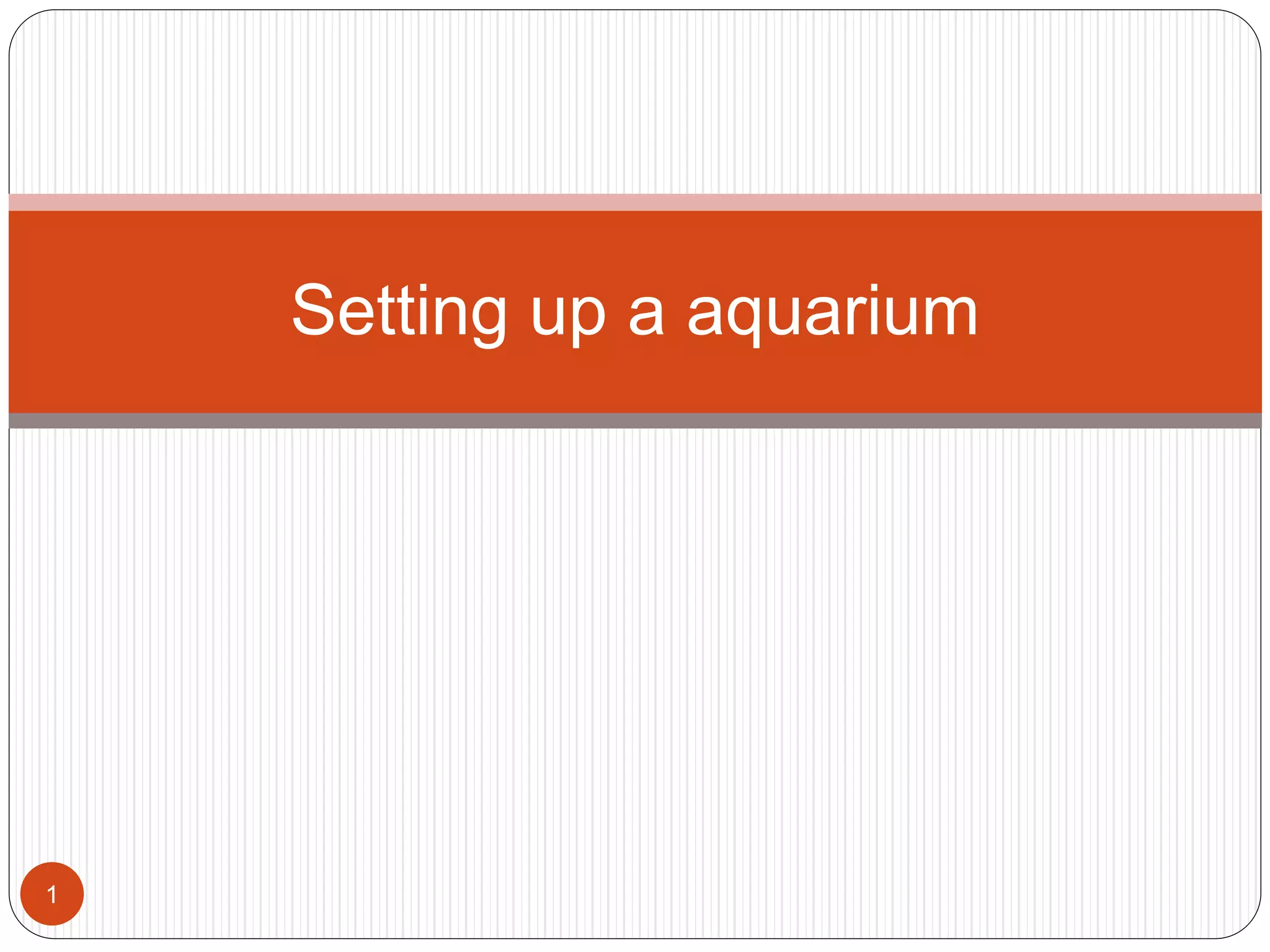 Setting up a aquarium | PPTX