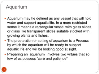 Setting up a aquarium | PPTX