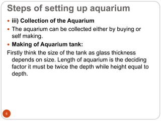Setting up a aquarium | PPTX