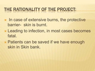 Setting up a skin bank | PPTX