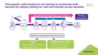 Setting up for successful lot release testing by Edmund Ang | PDF