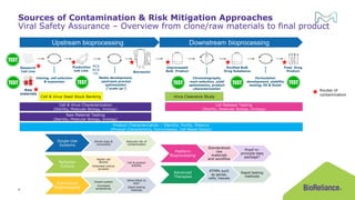 Setting up for successful lot release testing by Edmund Ang | PDF