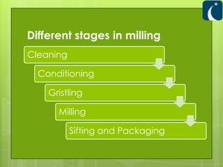 Setting up wheat milling plant uae | PPTX