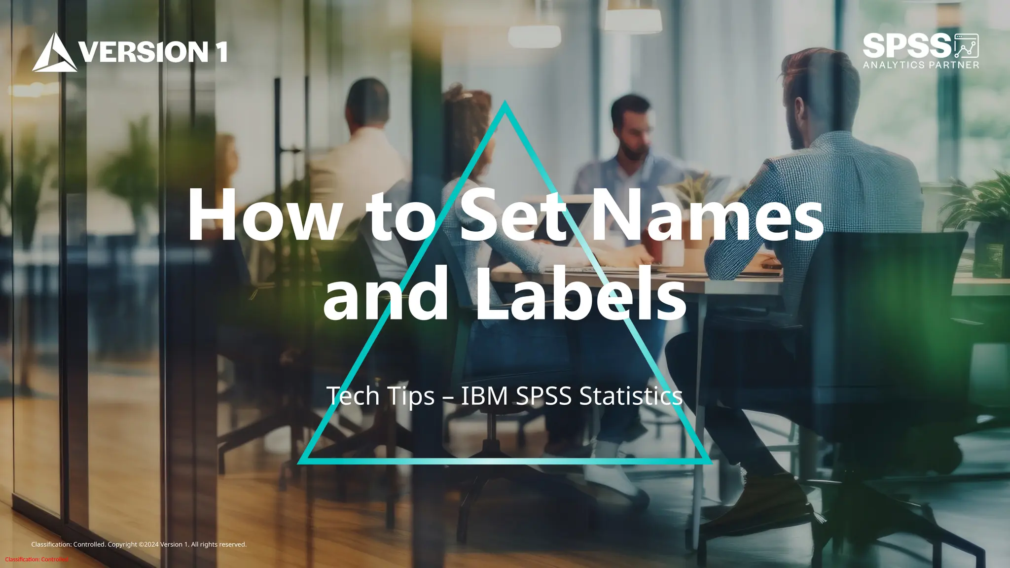 Setting Values and Labels in IBM SPSS Statistics .pptx